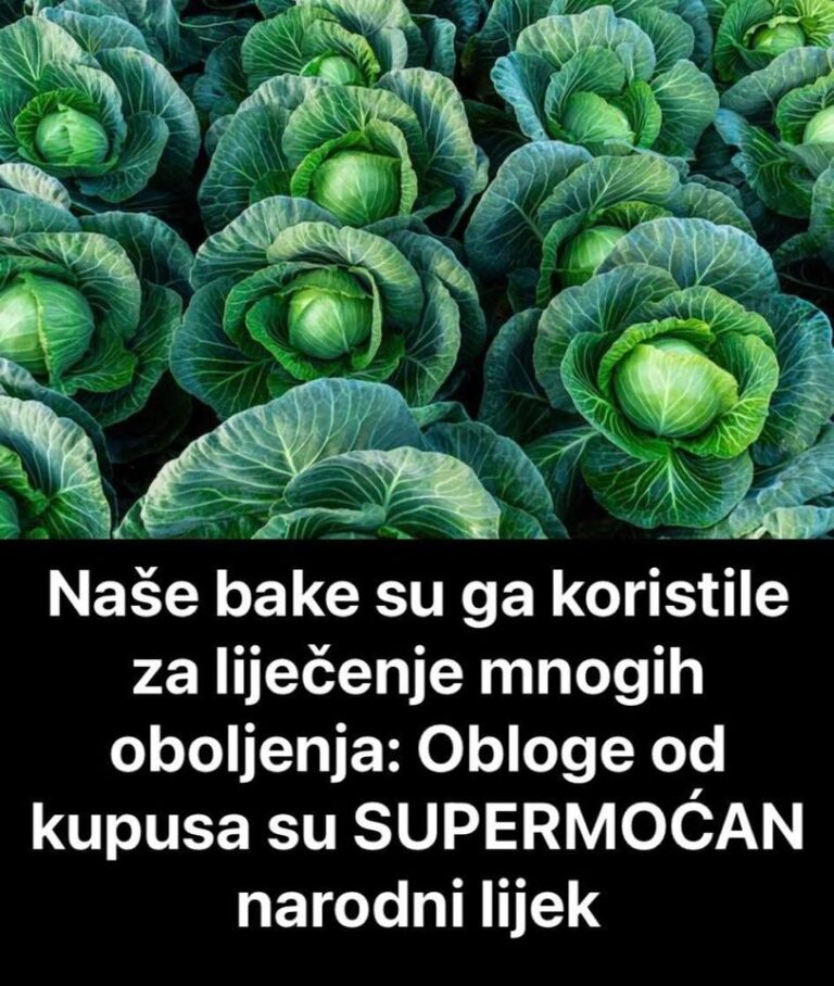 Naše bake su ga koristile za liječenje mnogih oboljenja: Obloge od ...