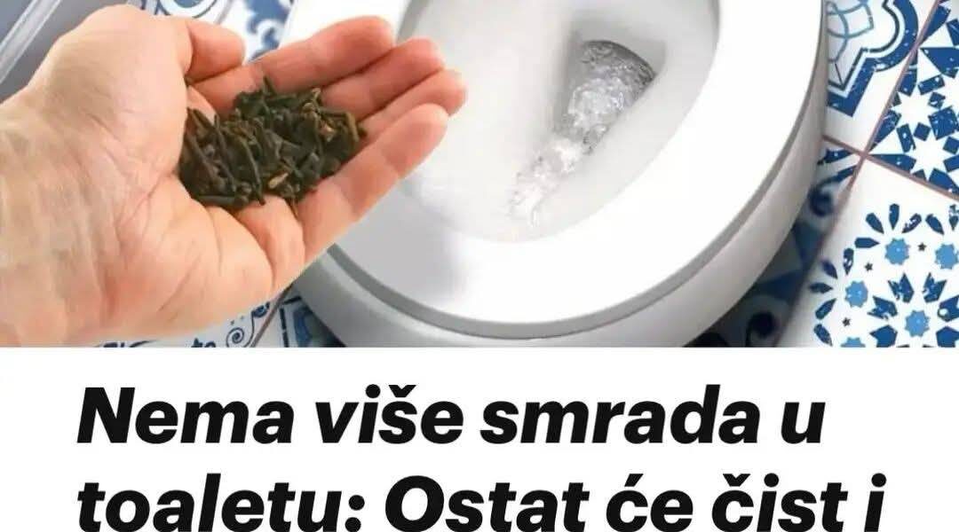 Nema više smrada u toaletu: Ostat će čist i mirisan čak i BEZ ...