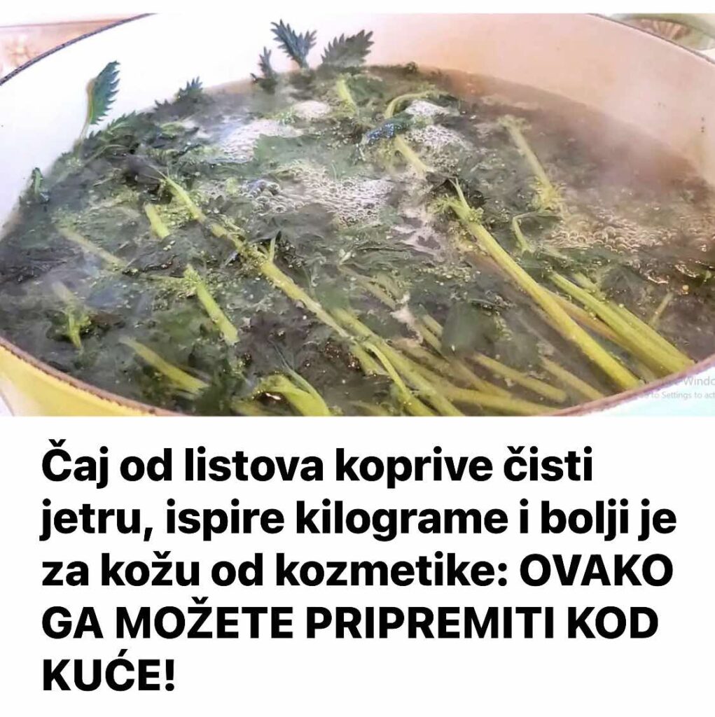 Čaj od listova koprive čisti jetru, ispire kilograme i bolji je za kožu ...