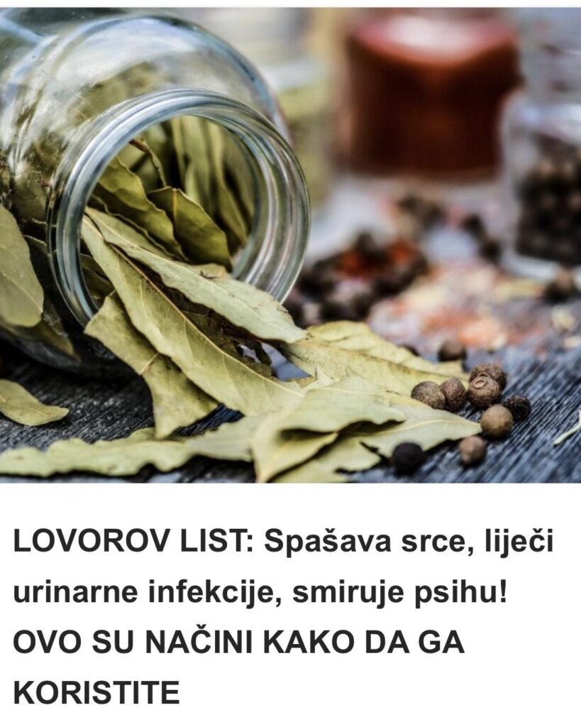 LOVOR JE PRIRODNI MAĐIONIČAR: Umiruje čak preko 20 oboljenja, a ovo su ...